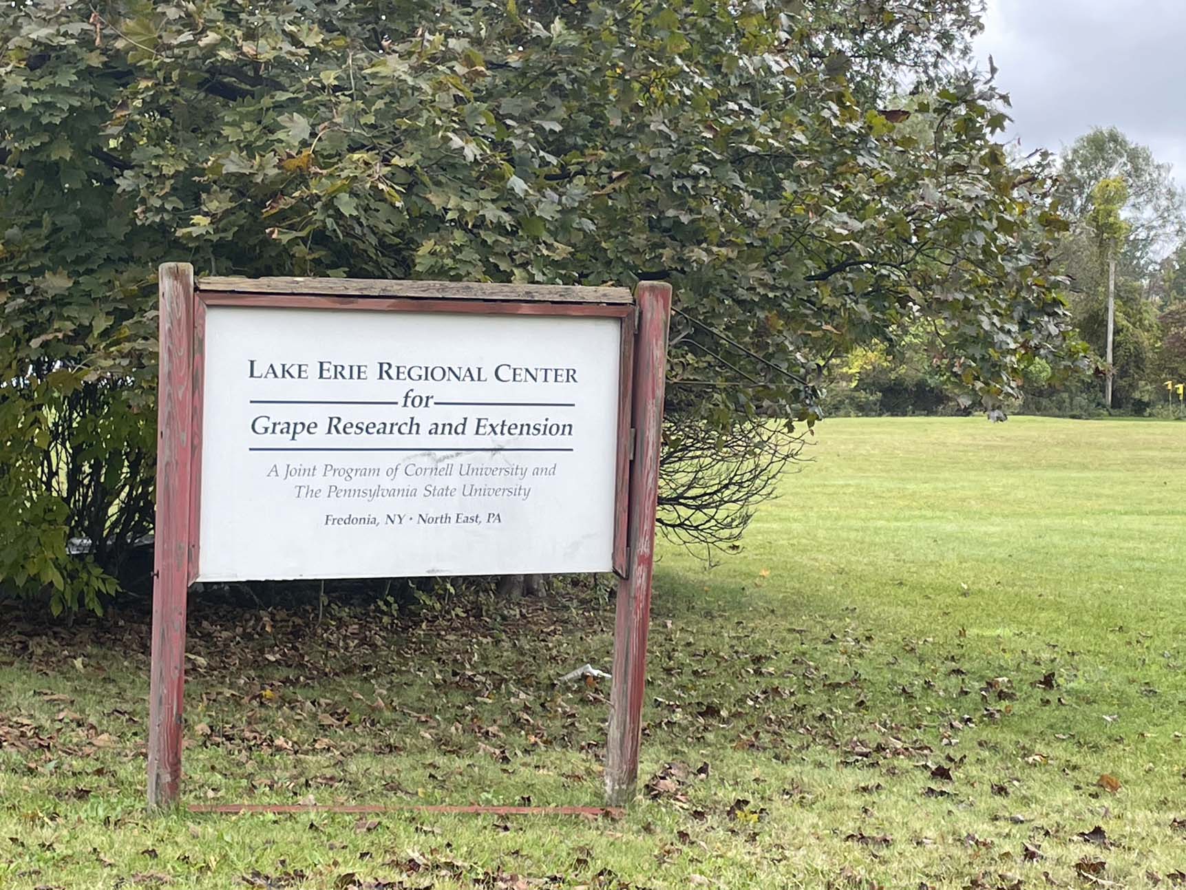 Hochul expected to announce funding for new Brooks-TLC | News, Sports ...